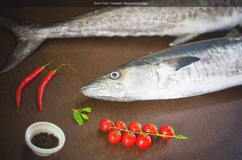 Seer Fish / Surmai / Neymeen Large (3kg+) - Freshtohome.com